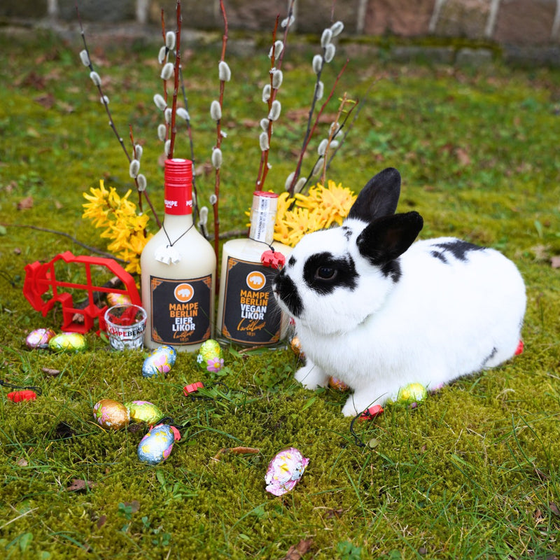 Mampe Spirits - A real Berlin schnapps factory