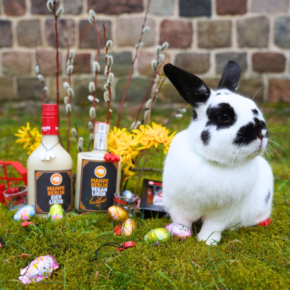 Mampe Spirits - A real Berlin schnapps factory